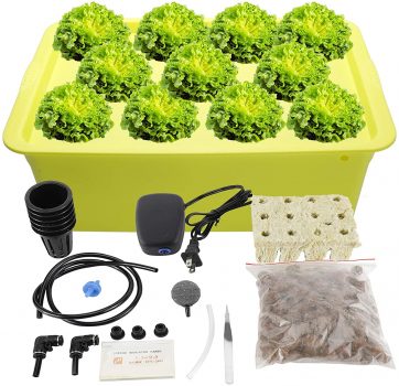 Hydroponic Kits (Budget-Friendly Grow Kits For Beginners) - Climatebiz