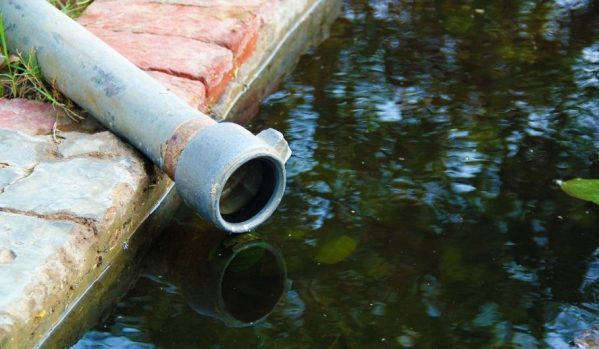 What Is In Greywater? (An expert explains) - Climatebiz