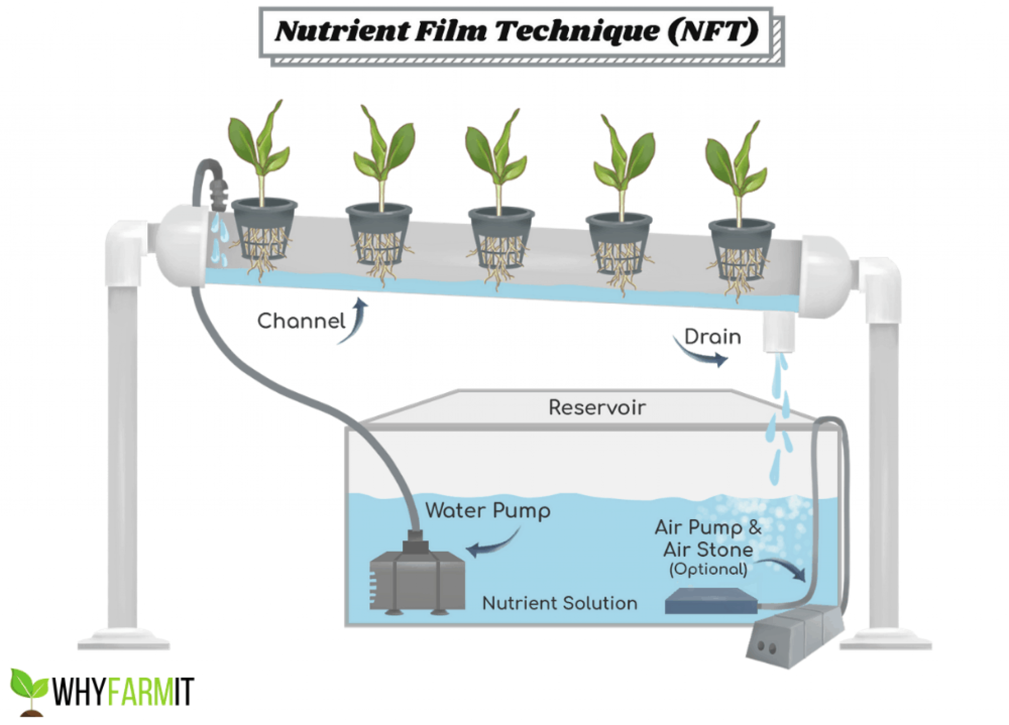 NFT Hydroponic System (Everything you need to know) - Climatebiz