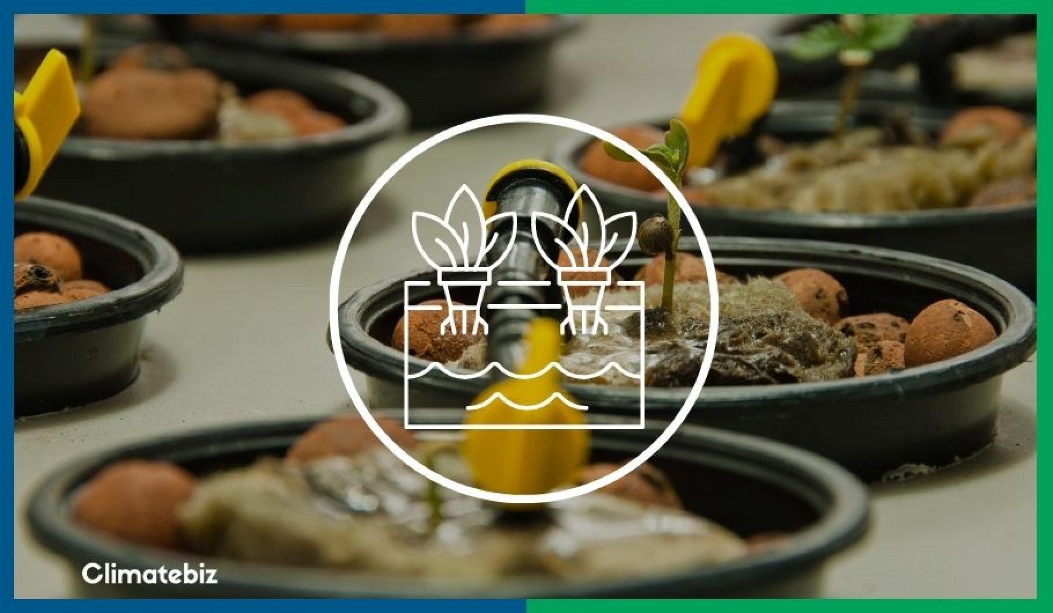 NFT Hydroponic System (Everything you need to know) - Climatebiz