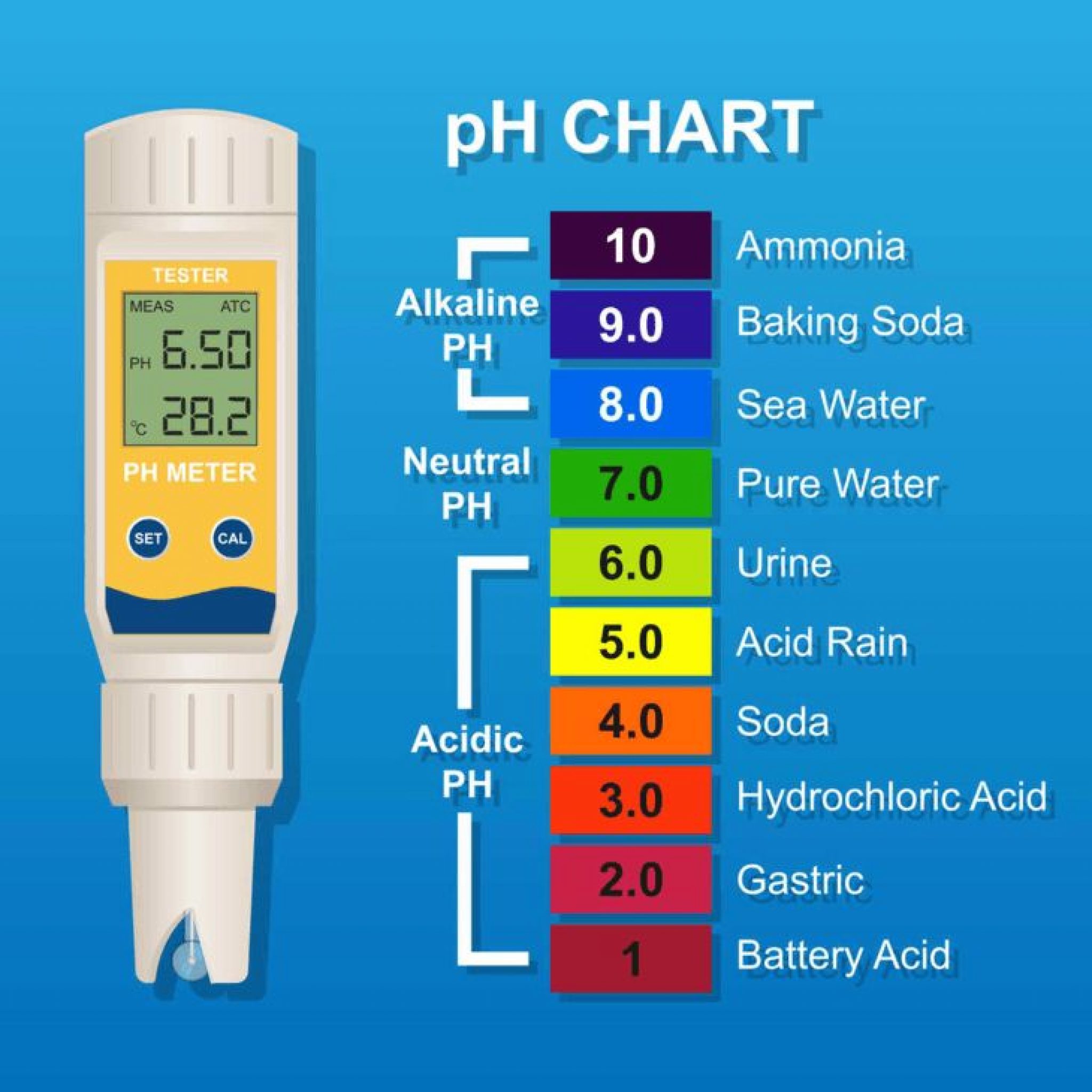 Understanding pH For Hydroponics (A complete guide) - Climatebiz