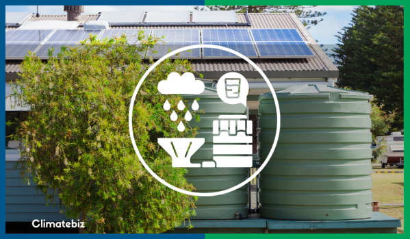 How To Build a DIY Rainwater Collection System - Climatebiz