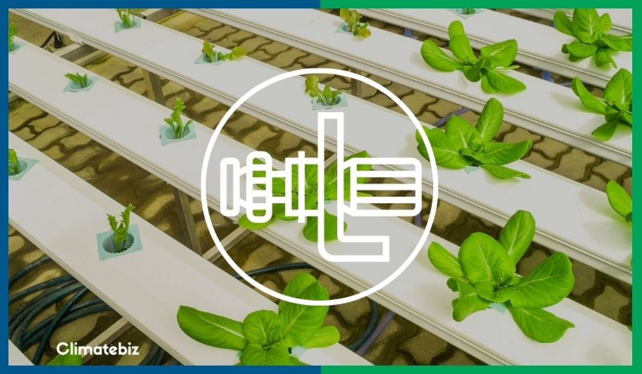12 Hydroponic Water Pumps Best For Your Setup - Climatebiz