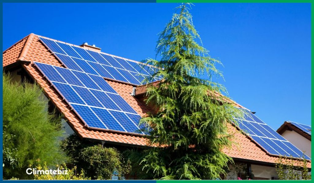 Solar panels and tree shading (why they don't work together)